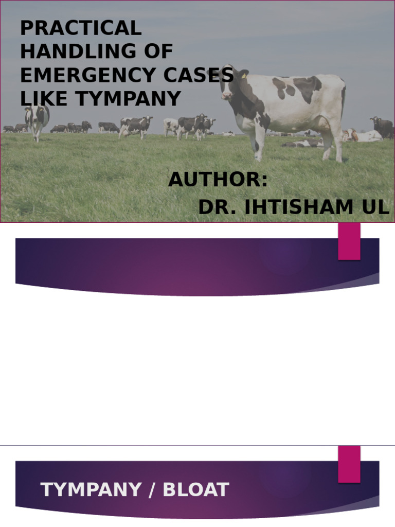 Tympany 210127140119 | PDF | Cattle | Diseases And Disorders