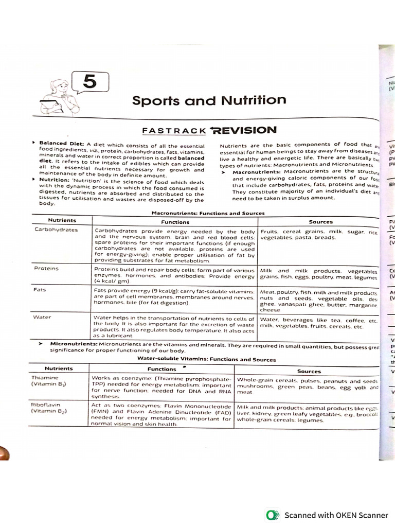 Sports and Nutrition Physical Education | PDF