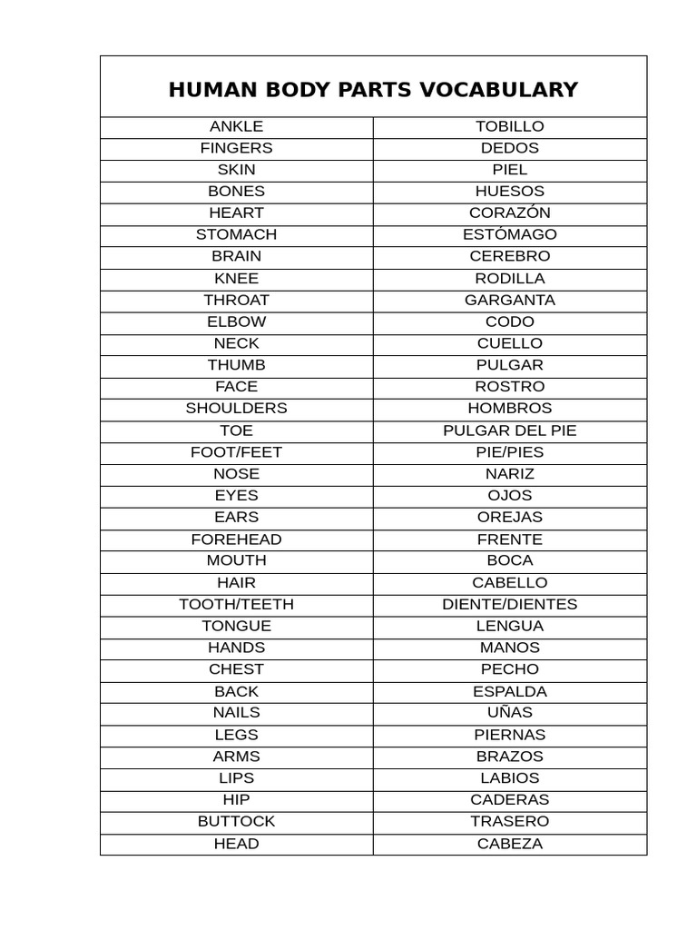Human Body Parts Vocabulary(1) | PDF