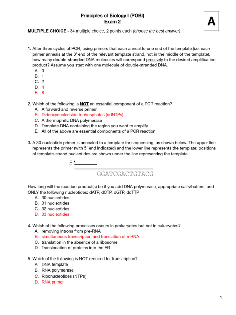 Exam 2A- KEY POB | PDF | Operon | Gene
