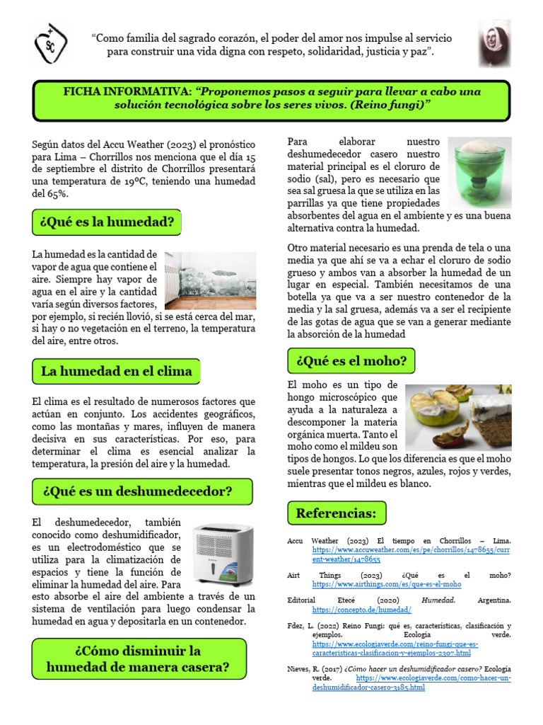 Ficha Informativa_Reino Fungi_Angello Jara | PDF | Hongo | Molde