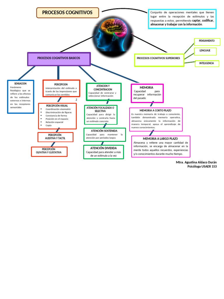 Mapa Mental Procesos Cognitivos | PDF | Percepción | Memoria