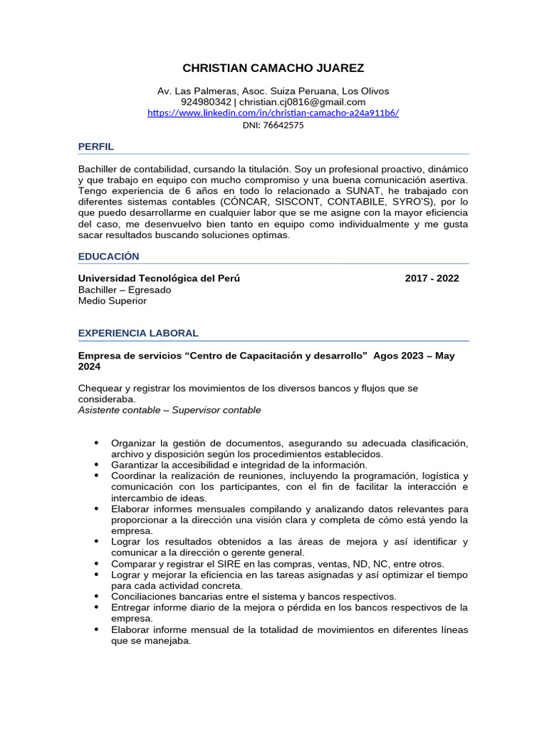 CV - Christian Camacho | PDF | Contabilidad | Business