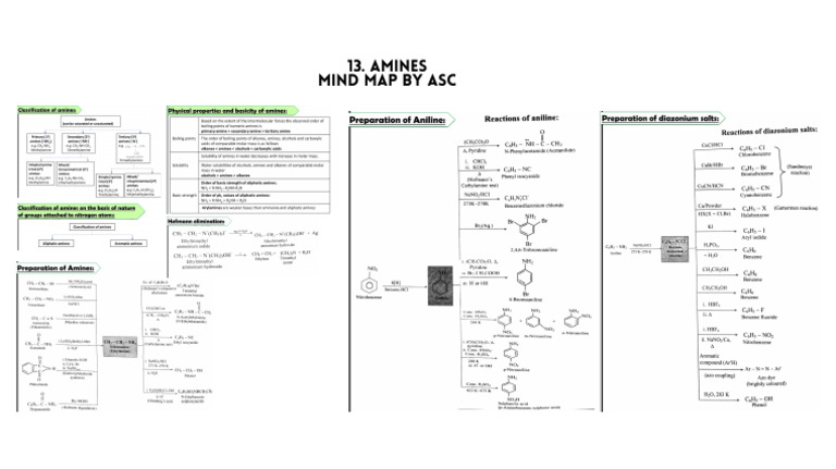 Amines Mind Map by Asc | PDF