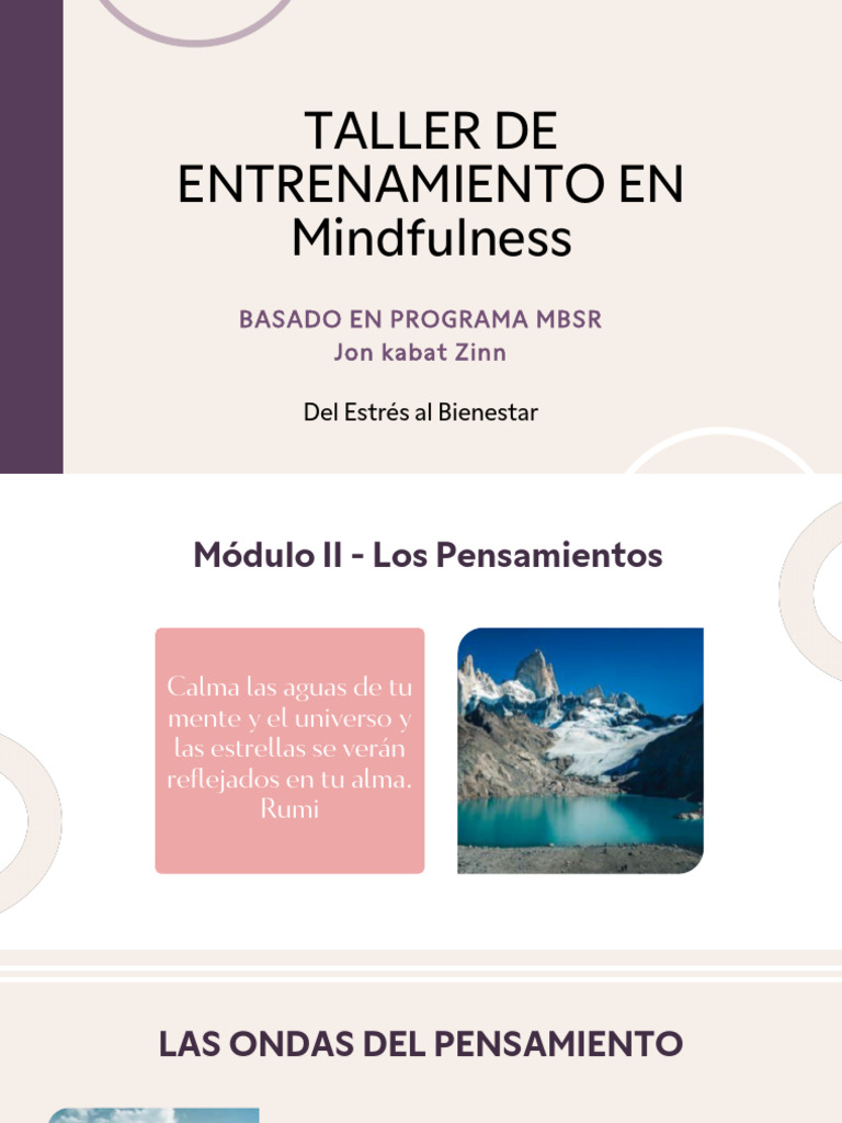 2º Taller de Entrenamiento en Mindfulness | PDF | Experiencia | Mente