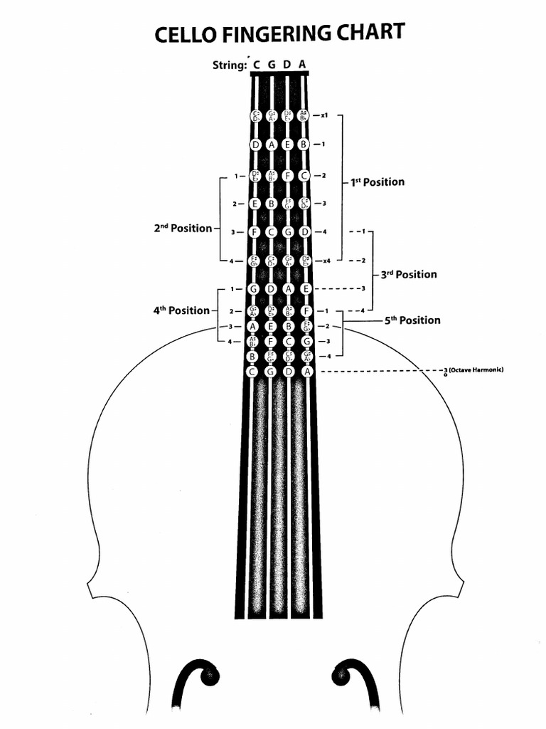 Cello Positions | PDF