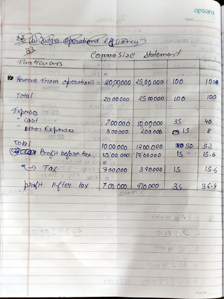 Accounts Pre Board 1 Paper Solved Aarush Das PDF | PDF