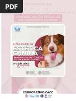 Morfología del perro: Graioides y Occipucio | PDF | Diente | Pastor alemán