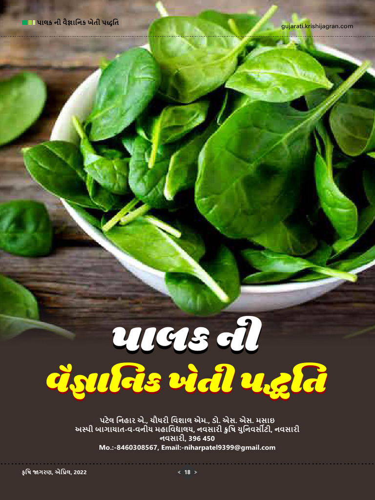 Final - Gujarati Mag. April 2022 Issue-18-21 | PDF