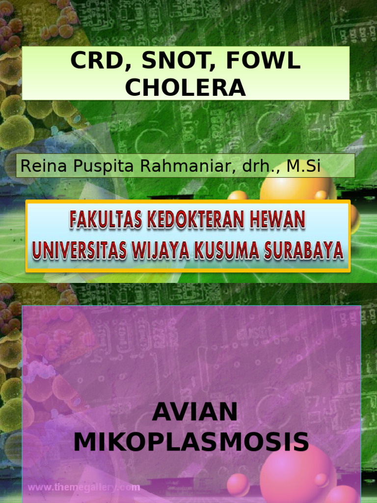 Penyakit Unggas: CRD & Kolera | PDF