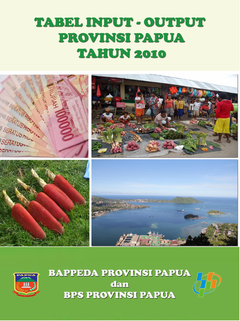 Tabel Input-Output Provinsi Papua Tahun 2010 | PDF