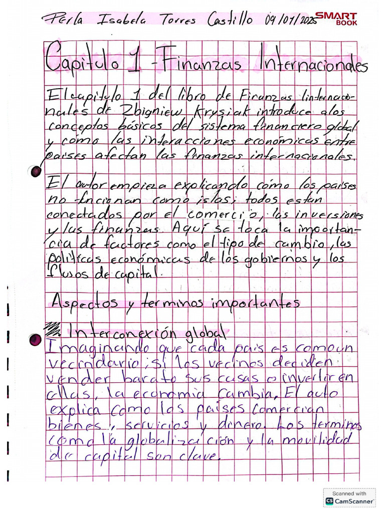 Capítulo 1 - Resumen | PDF
