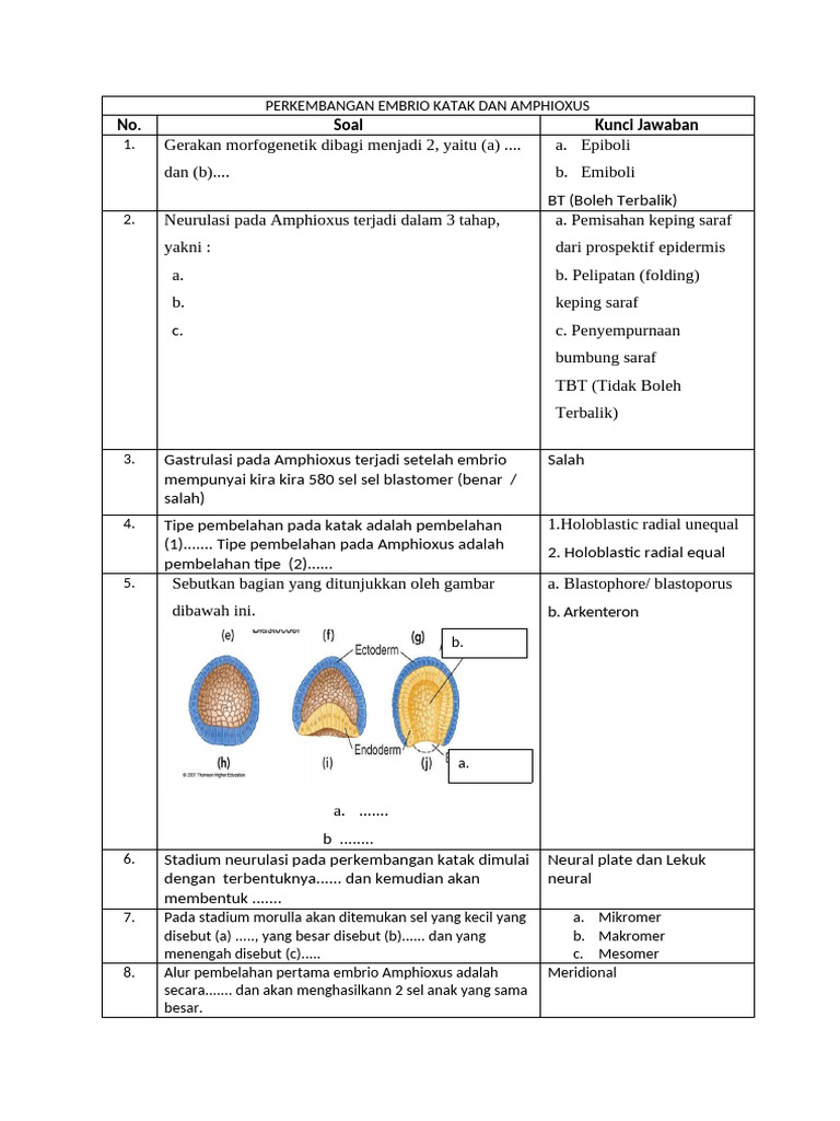 SOAL PERKEMBANGAN EMBRIO KATAK DAN AMPHIOXUS_nurul | PDF