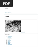 Pyroxene Mineral Group | PDF | Minerals | Mineralogy