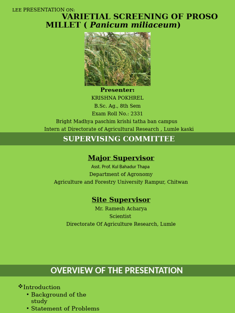 Krishna Pokhrel Presentation Final | PDF