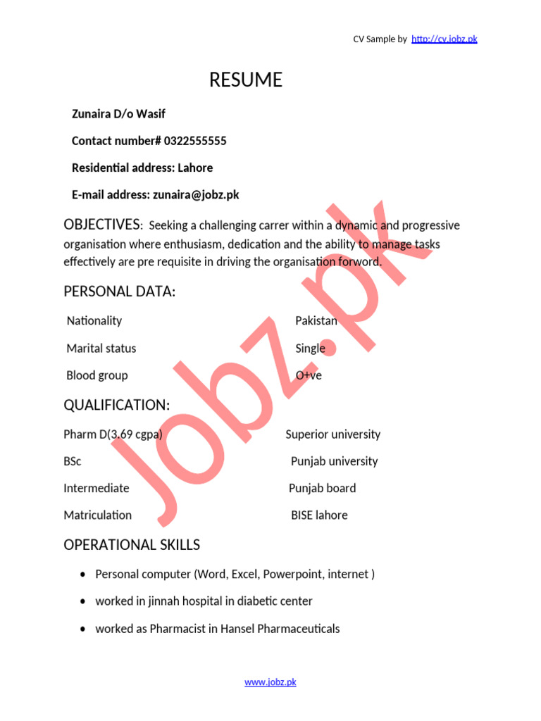 Resume: Objectives | PDF