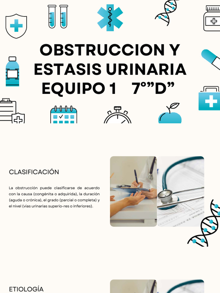 Obstrucción y Estasis Urinaria: Causas y Síntomas | PDF | Sistema ...