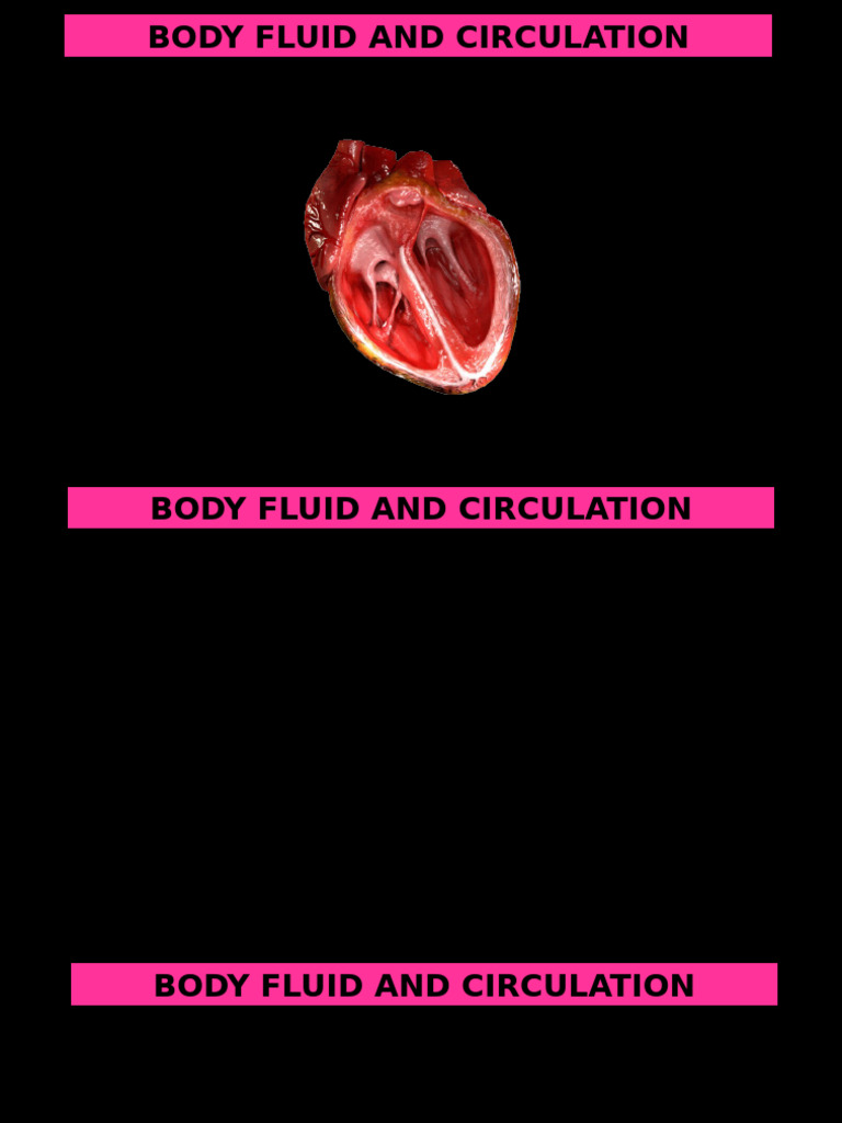 BODY FLUID AND CIRCULATION (1) | PDF