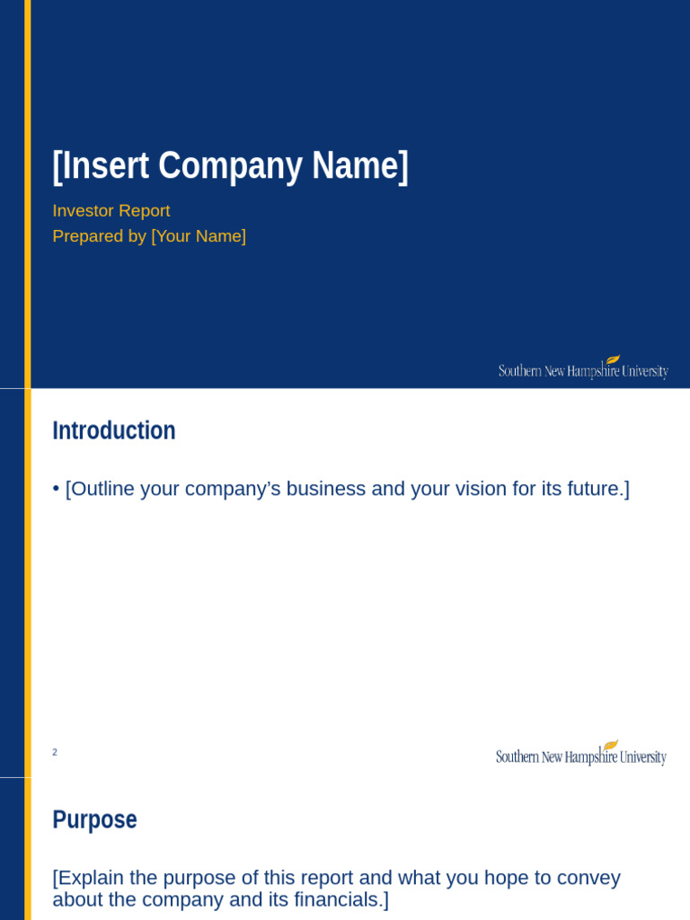 ACC 202 Investor Report Overview | PDF