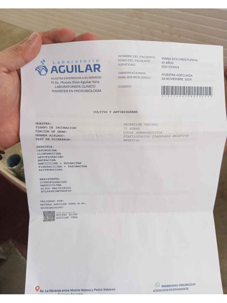 PDFReader 20250112 1702 | PDF