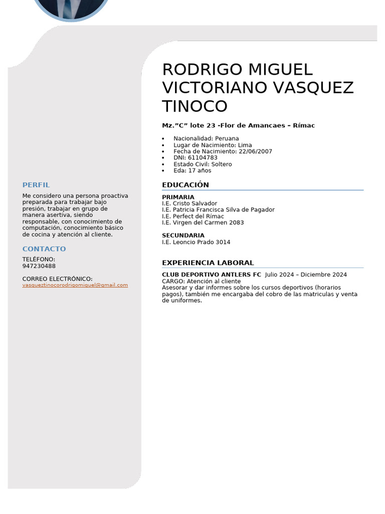 Cv Rodrigo | PDF