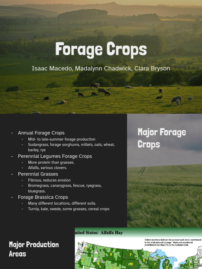 Plant & Soil Presentation (Forage) | PDF