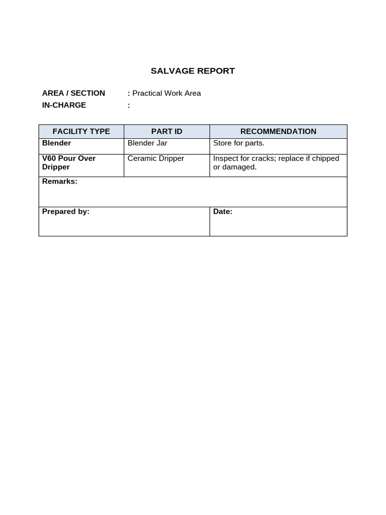 Mf - Salvage Report | PDF