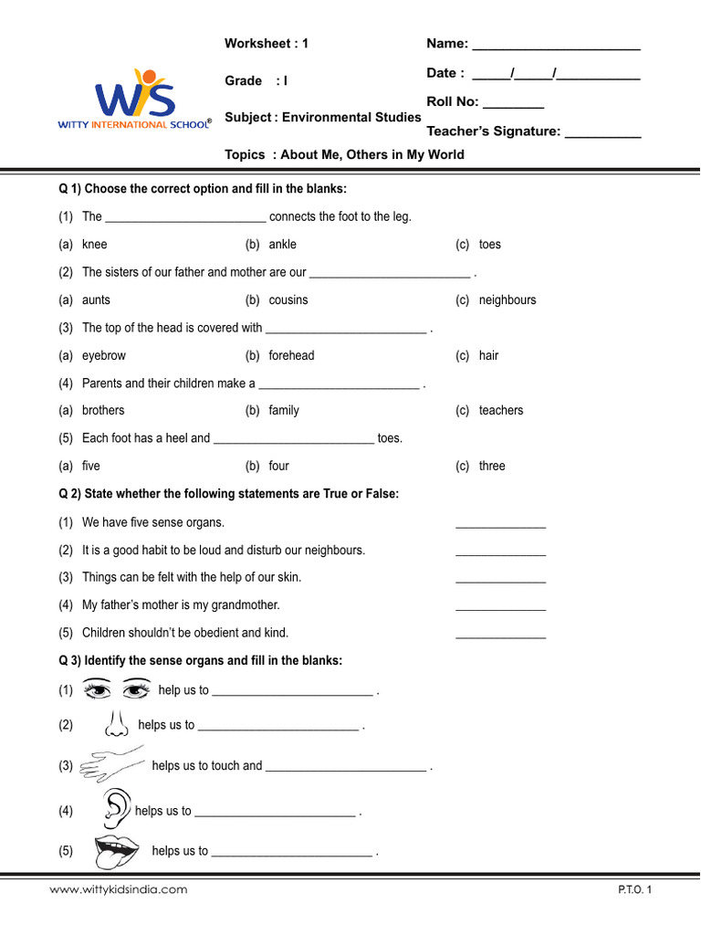 Environmental Studies Worksheet for Kids | PDF