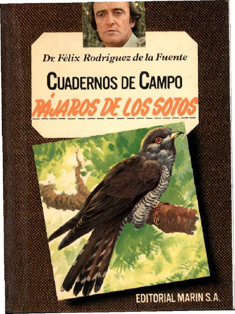 Cuadernos de Campo. Pájaros de Los Sotos. Félix Rodríguez de La Fuente ...