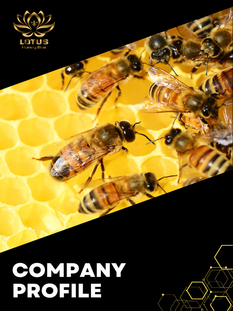 Company Profile Lotus Honey Bee | PDF