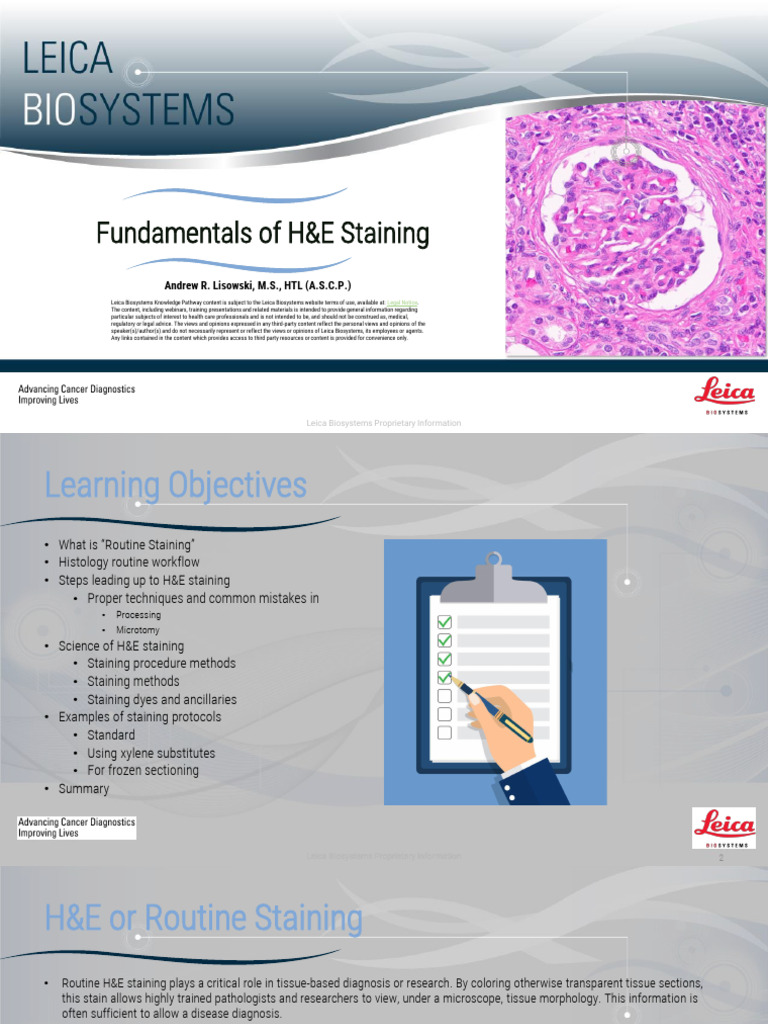 H&E Staining Fundamentals Guide | PDF | Staining | Fixation (Histology)