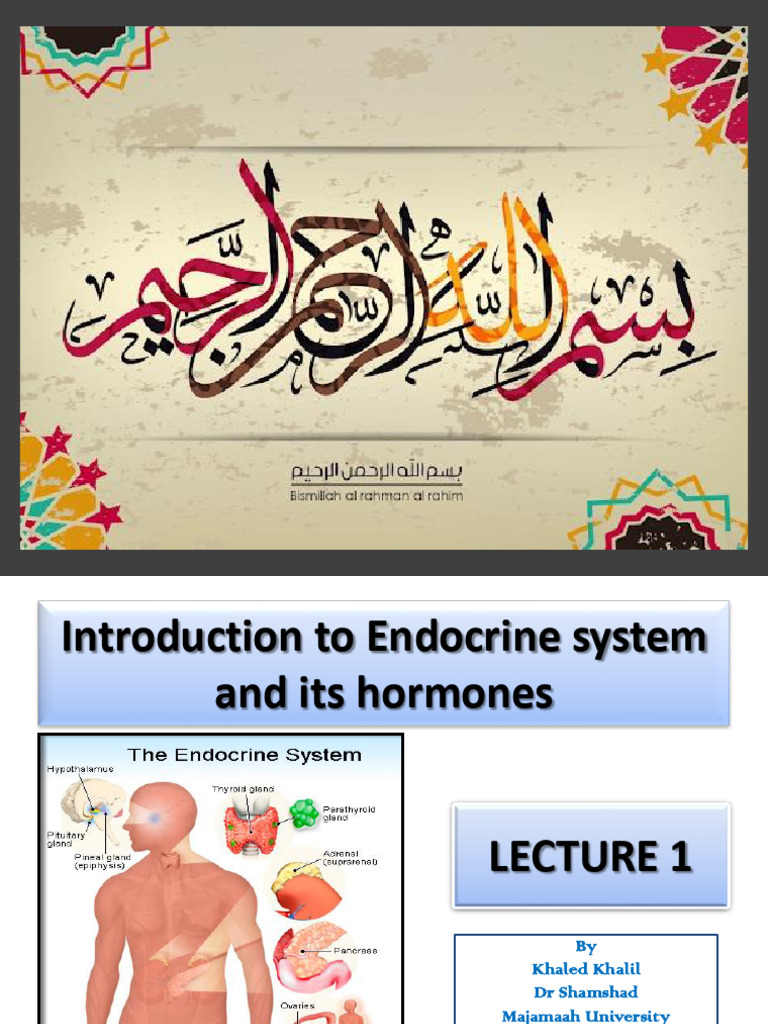 1 - Introduction To Endocrine System and Its Hormones | PDF | Hormone | Endocrine System