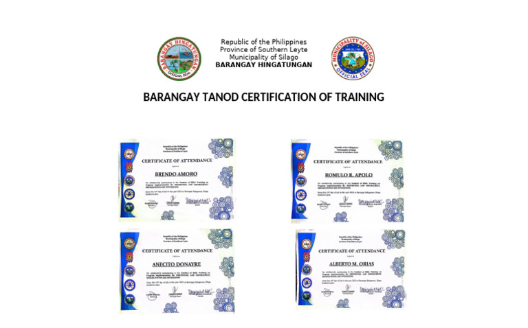 Barangay Tanod Certification Training 2023 | PDF