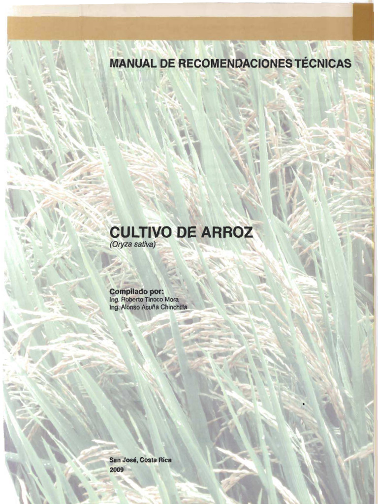 Arroz | PDF