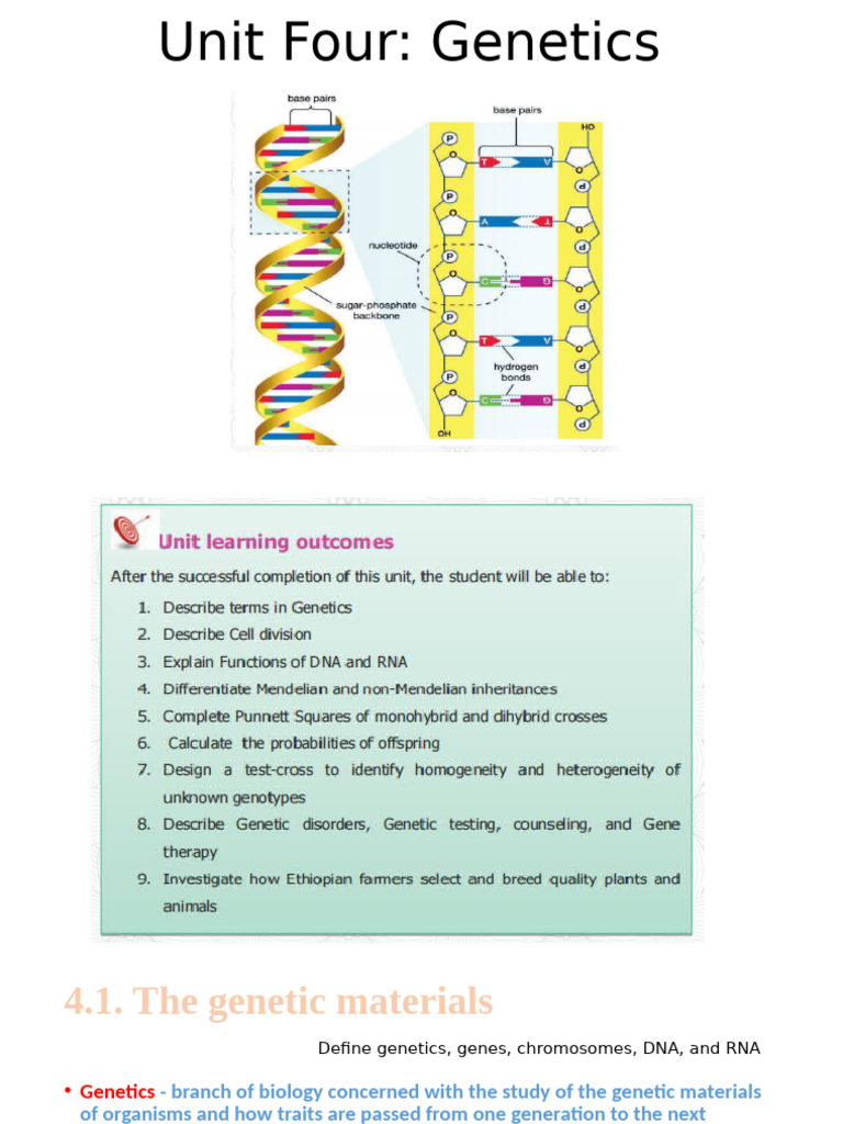 Unit Four- Genetics | PDF | Dna | Genetics