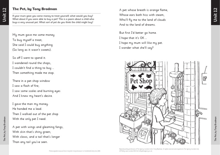 Comprehension Texts Year 1 Unlocked Pages 14 | PDF