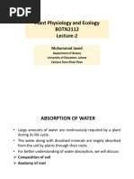 Structure and Life Cycle of Chara | PDF | Algae | Biology