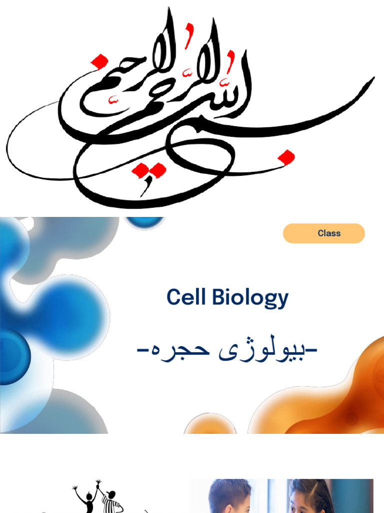 Cell Biology Slide Kabul University | PDF