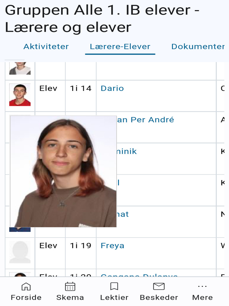 Gruppen Alle 1. IB Elever - Lærere Og Elever - Lectio - Ikast-Brande ...