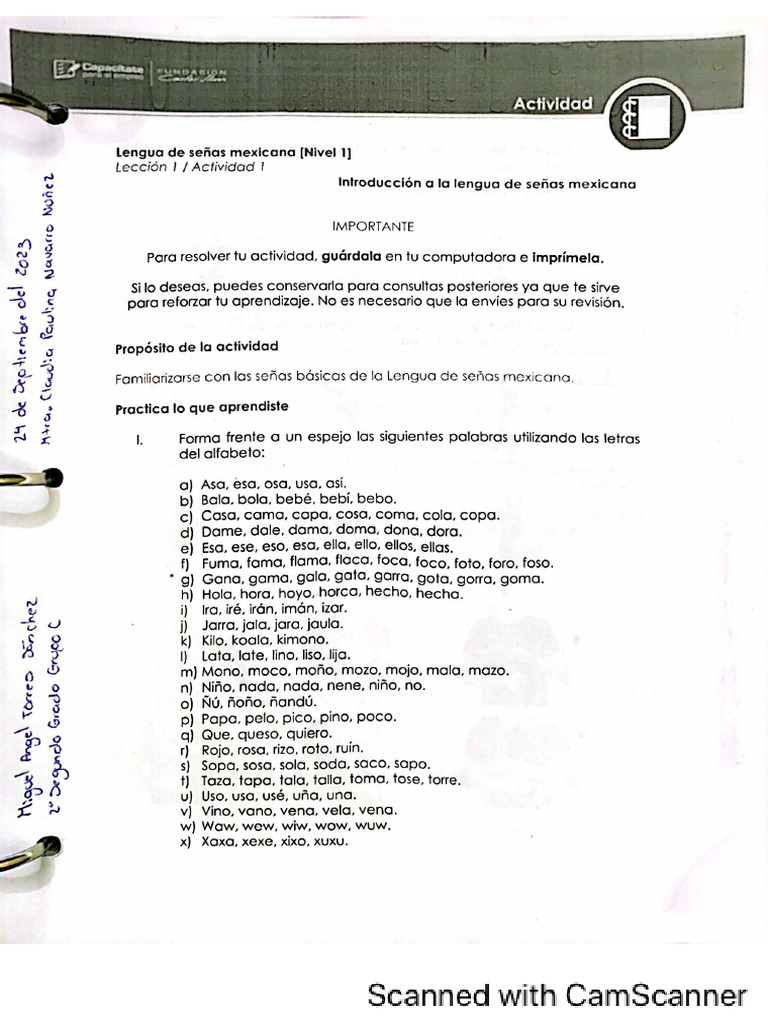 Lengua de Señas Nivel 1 - Actividad 1 | PDF
