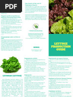 How To Plant Ube - Compiled | PDF