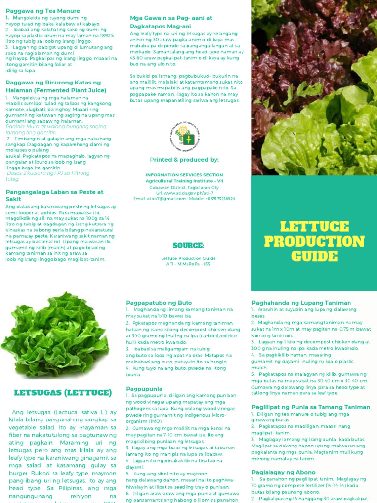 Lettuce Prod Guide - Final | PDF