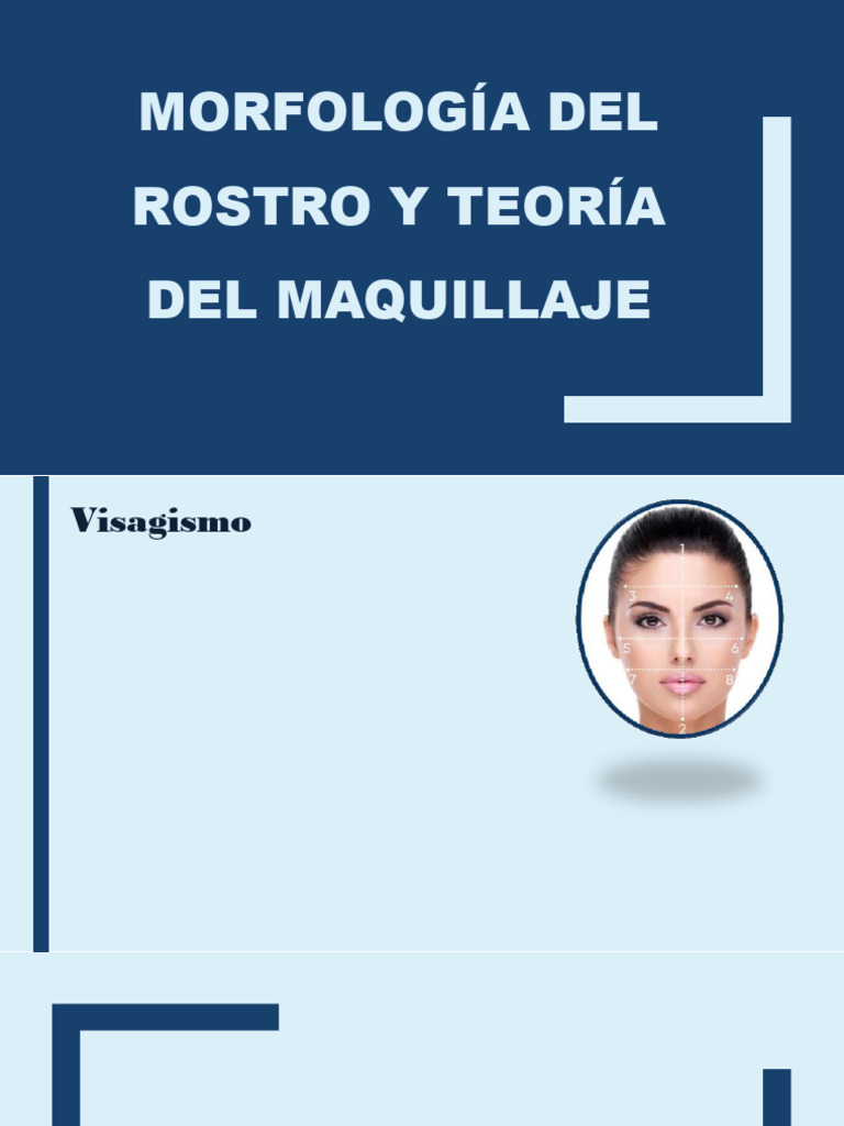 Subtema 1 Visagismo - Lemi Corporación | PDF | Productos cosméticos