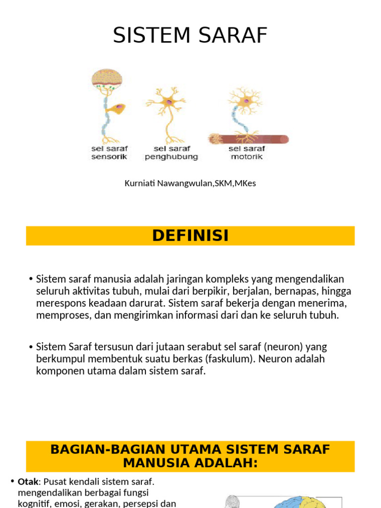 SISTEM SARAF - Pert.5 | PDF