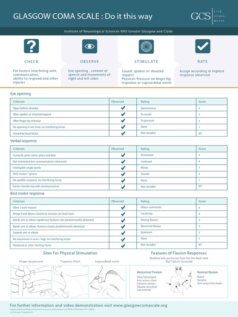GCS Assessment Aid English | PDF | Anatomical Terms Of Motion | Elbow
