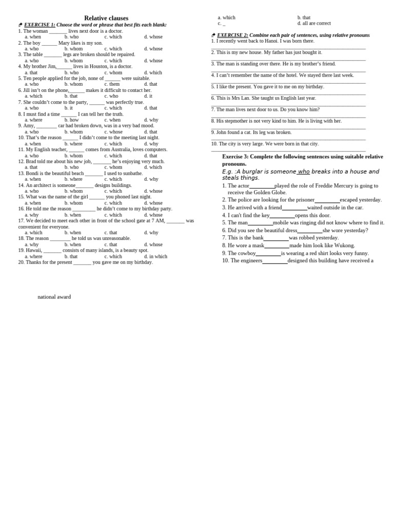 Relative Clauses - WILL Practice | PDF