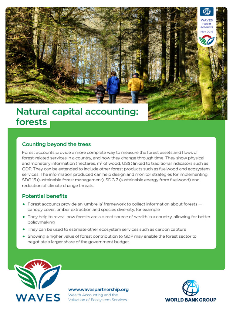 NCA-Forest Accounts | PDF | Forests | Gross Domestic Product