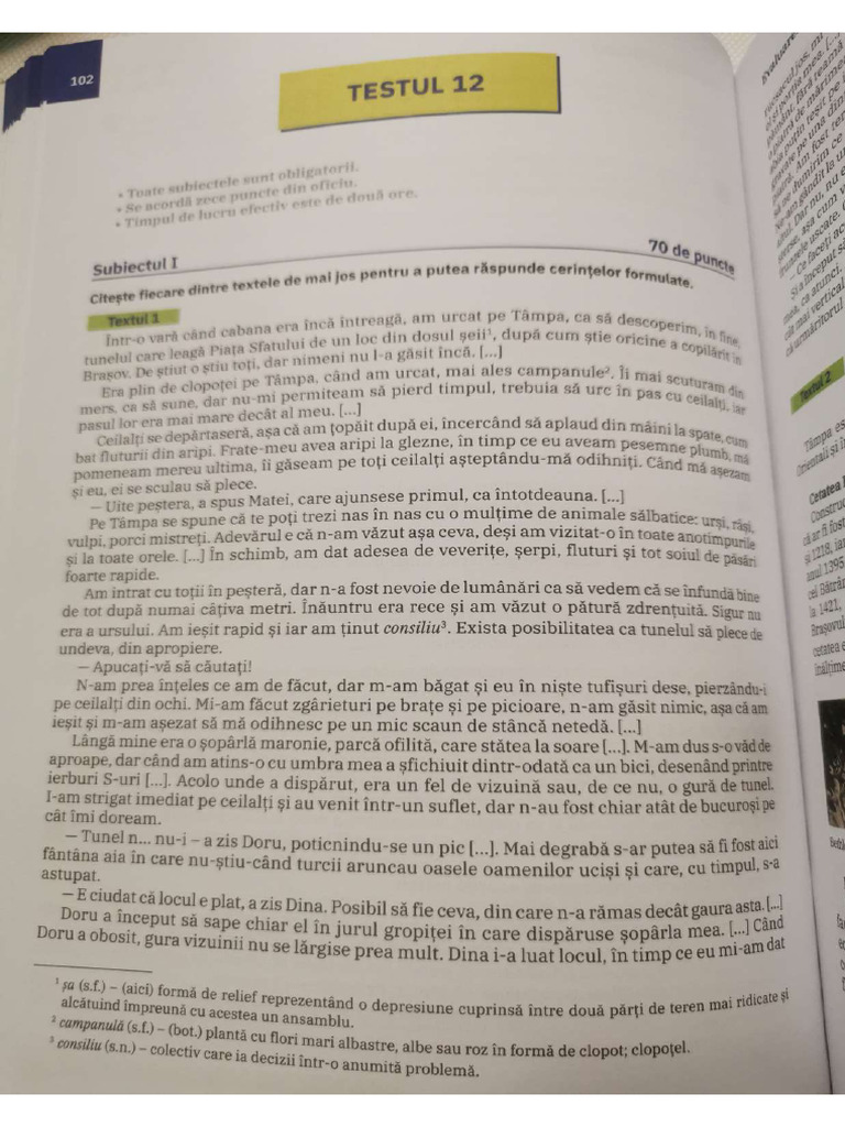Testul 12 EN+ | PDF