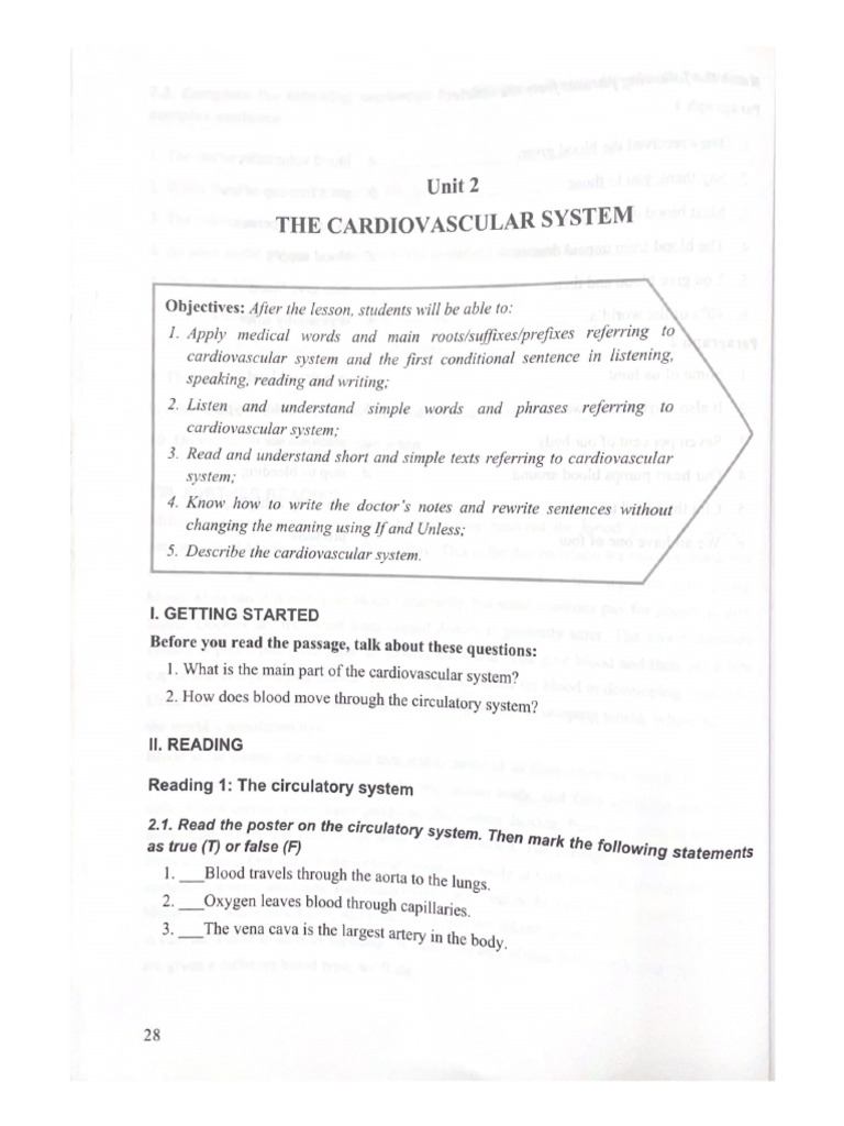 The Cardiovascular System | PDF