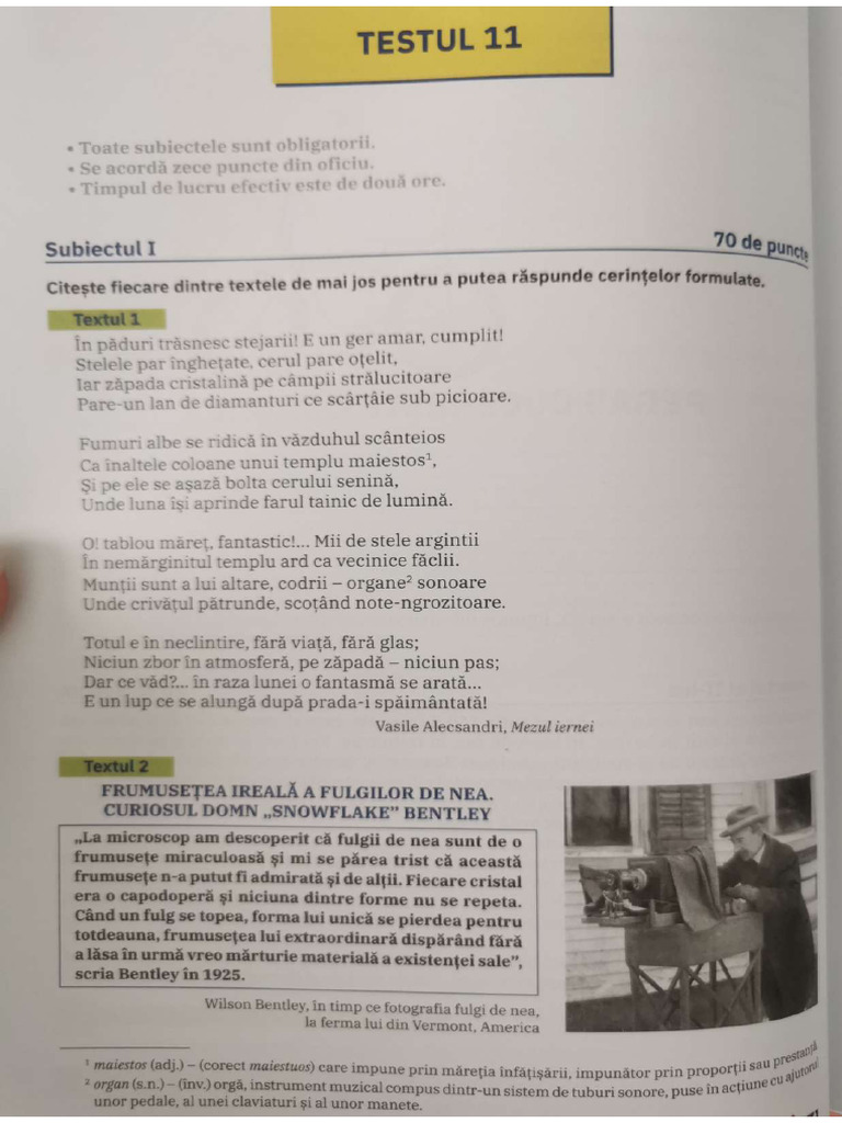 Testul 11 EN+ | PDF